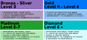 Gymnastics Levels - JO And Xcel Programs Requirements